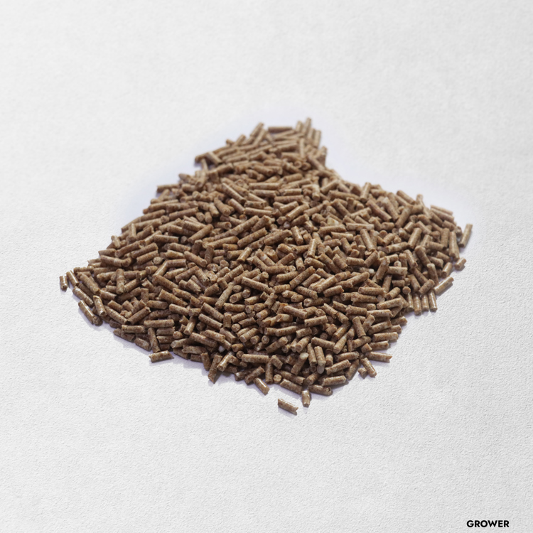 Hendrix Broiler Grower Pellet Feed - Trouw Nutrition