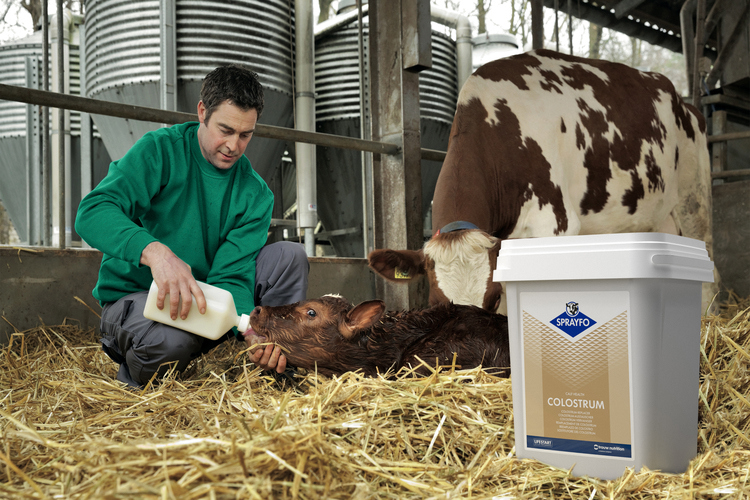 Colostrum: managing the first vital feed - Trouw Nutrition